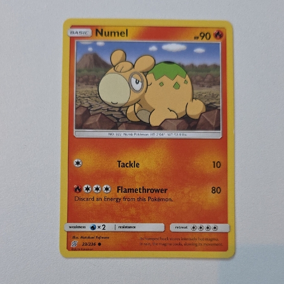 Pokemon | Toys | Pokemon Numel Card Orange And Yellow | Poshmark
